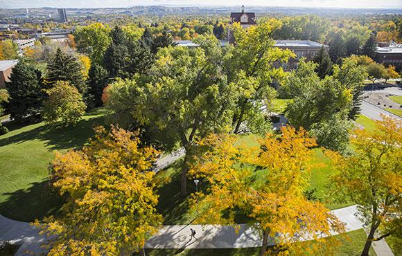 Future Students at MSU Billings | MSU Billings